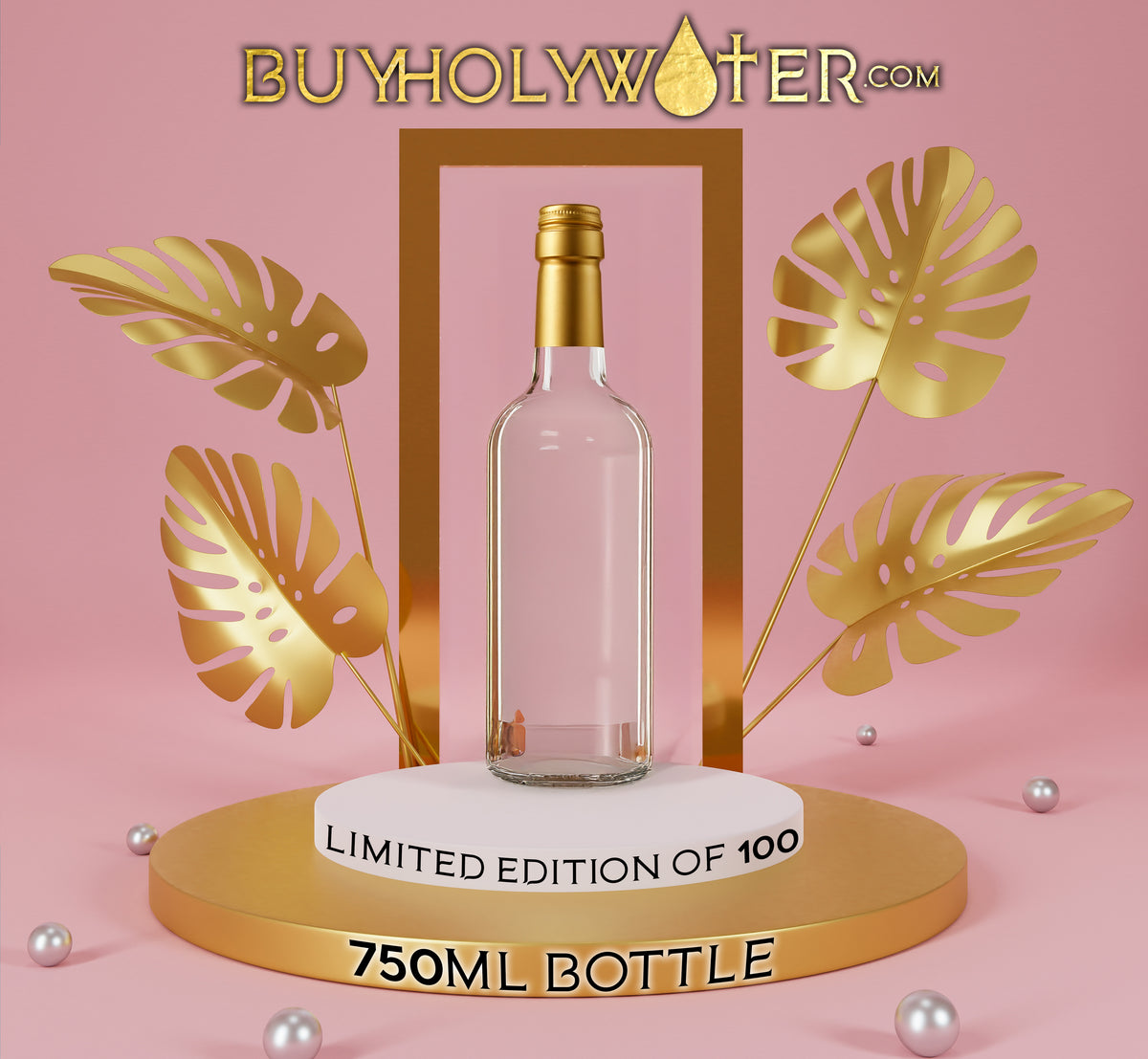 Blessed Pope Holy Water Font 750mL Full-size Bottle Authentic Import – BHW